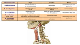 1) Muscles of the head and neck.pdf