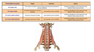 1) Muscles of the head and neck.pdf