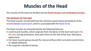 1) Muscles of the head and neck.pdf