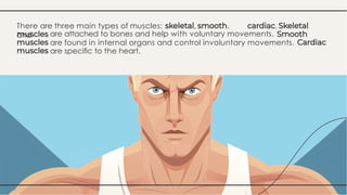 1muscular-system-demystified.pptx.................. | PPT