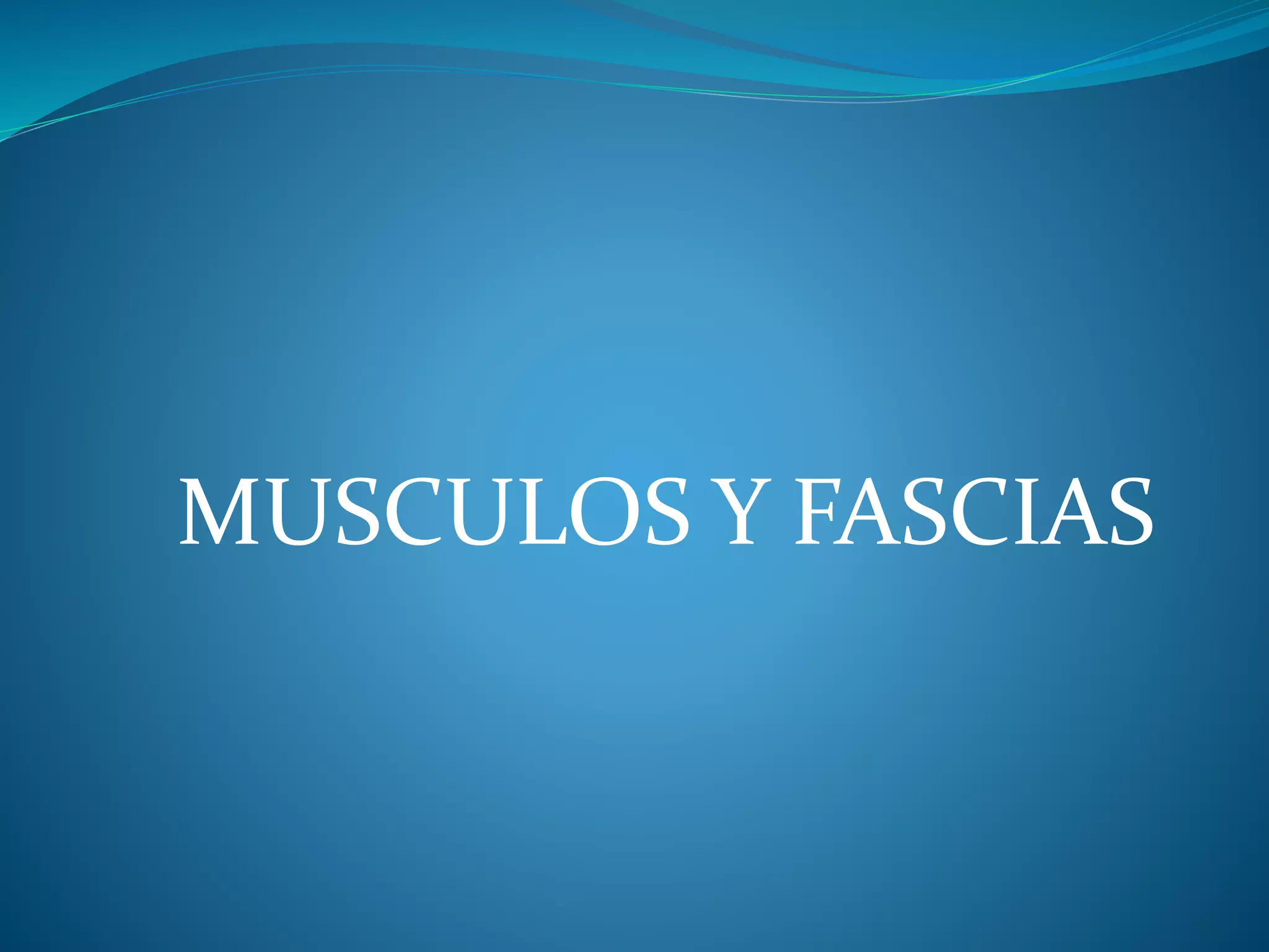 1 musculos | PPTX