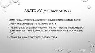 Maxillofacial nerve injury (trigeminal ).pptx