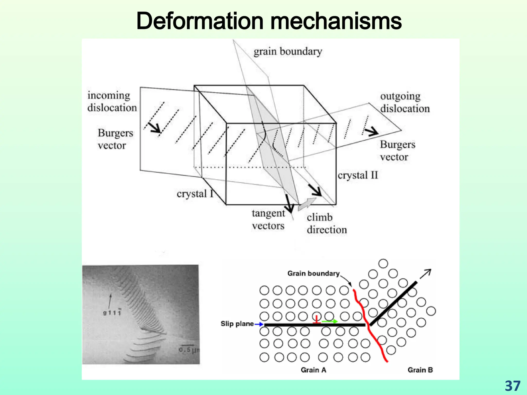 Microstructure and rheology of deformed rocks | PDF