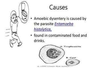 parasites -helminths & vectors -microbiology | PPTX
