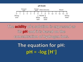 1 naming acids and bases | PPT