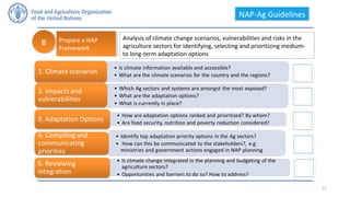 Supplementary guidelines: Addressing agriculture, forestry and fisheries in National Adaptation ...