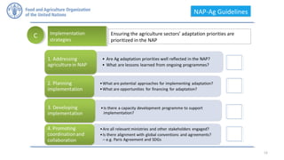 Supplementary guidelines: Addressing agriculture, forestry and ...