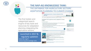 Supplementary guidelines: Addressing agriculture, forestry and fisheries in National Adaptation ...