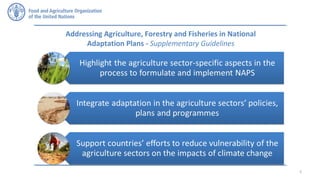 Supplementary guidelines: Addressing agriculture, forestry and fisheries in National Adaptation ...