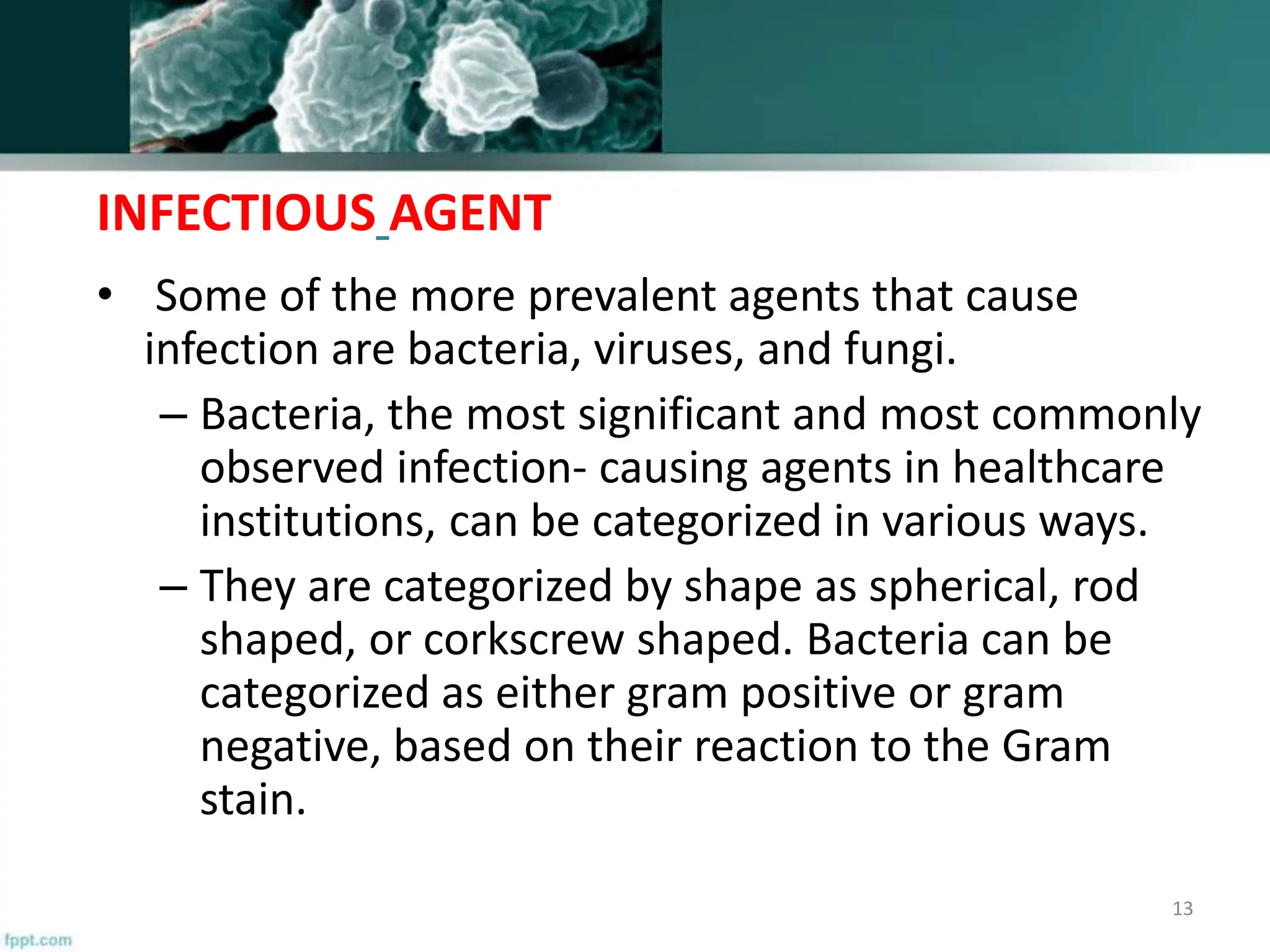 1 Nature of infection.pptx