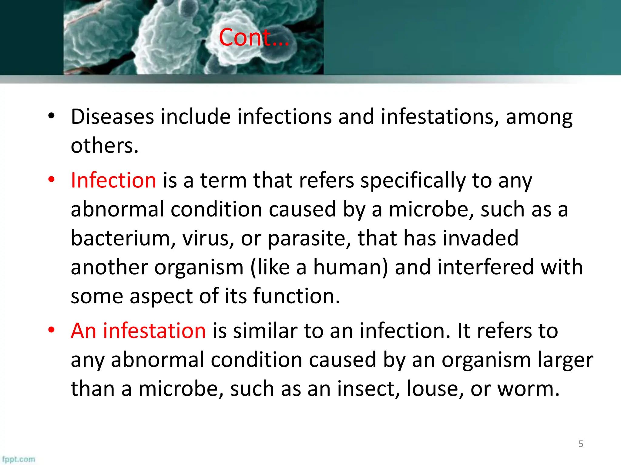 1 Nature of infection.pptx | Infectious Diseases | Diseases and Conditions