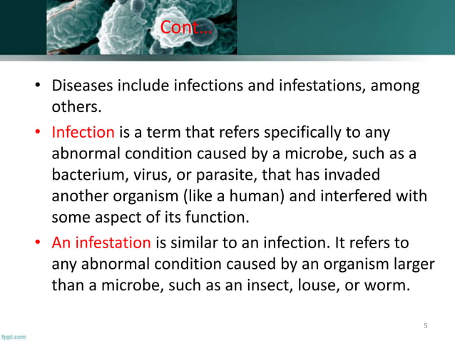 1 Nature of infection.pptx | Infectious Diseases | Diseases and Conditions