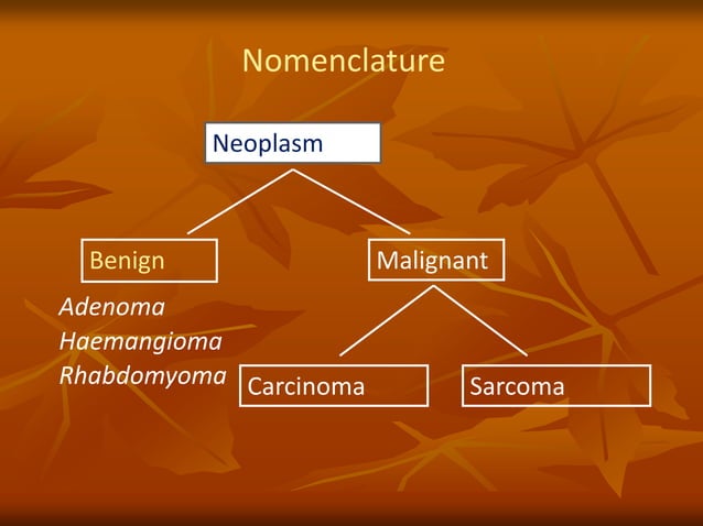 NEOPLASIA: TUMOR NOMENCLATURE | PPT | Cancer | Diseases and Conditions
