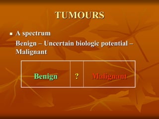 MECHANISM OF NEOPLASIA | PPT