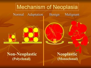 MECHANISM OF NEOPLASIA | PPT