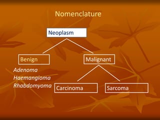 MECHANISM OF NEOPLASIA | PPT