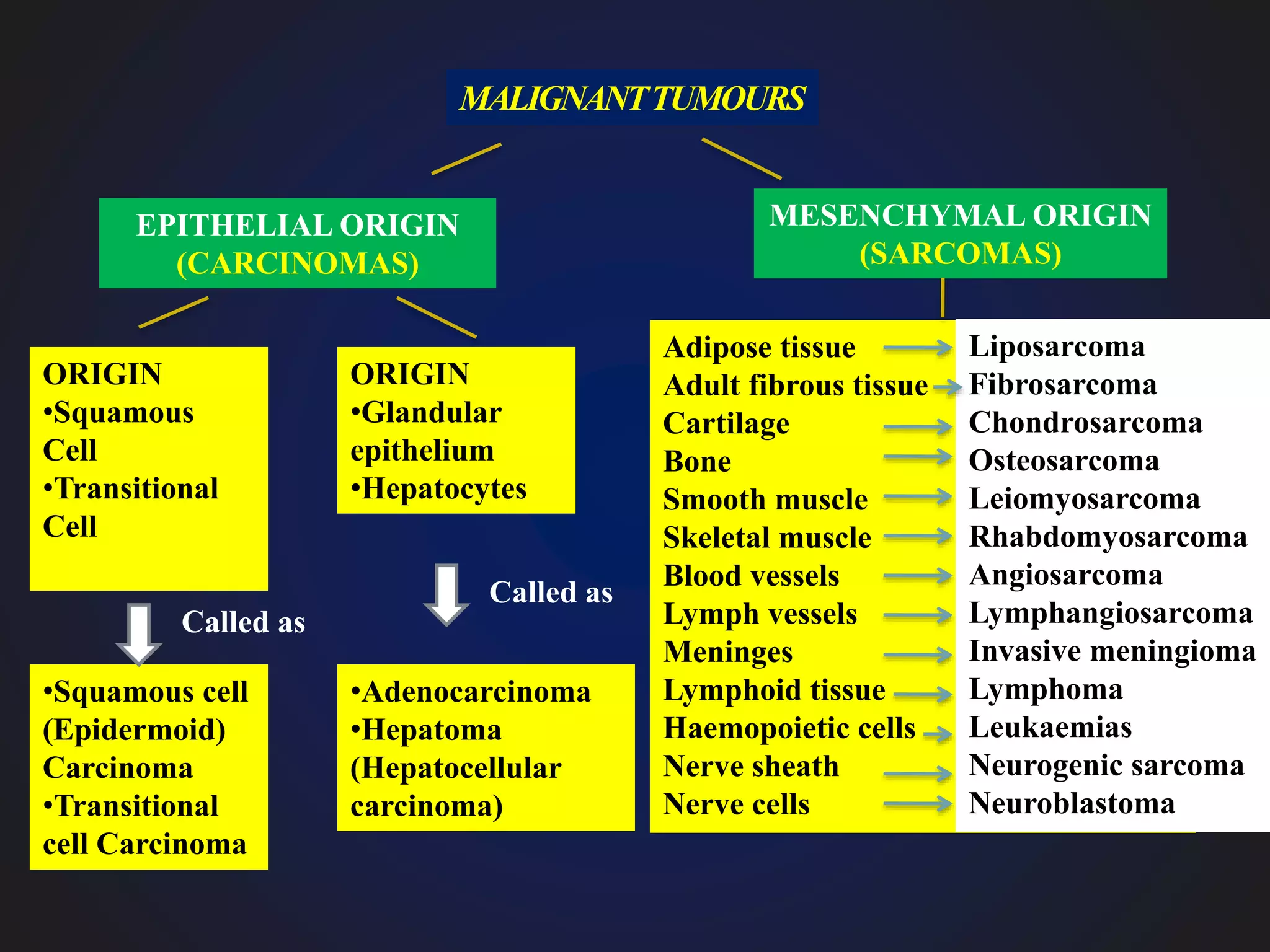 neoplasia introduction, nomenclature, classification of tumours | PPTX