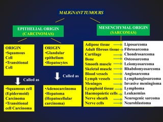 neoplasia introduction, nomenclature, classification of tumours | PPTX