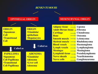neoplasia introduction, nomenclature, classification of tumours | PPTX