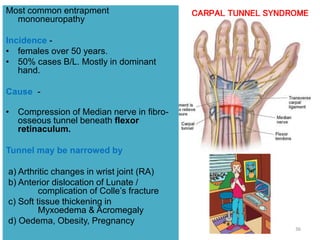 1 nerves of upper extremity | PPTX