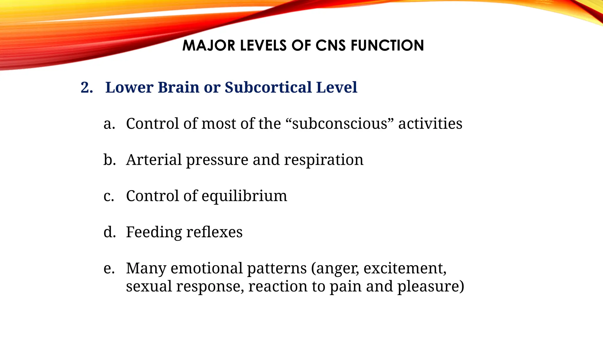 1 Nervous System Introduction anatomy.pptx