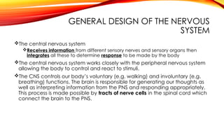 1 Nervous System Introduction anatomy.pptx