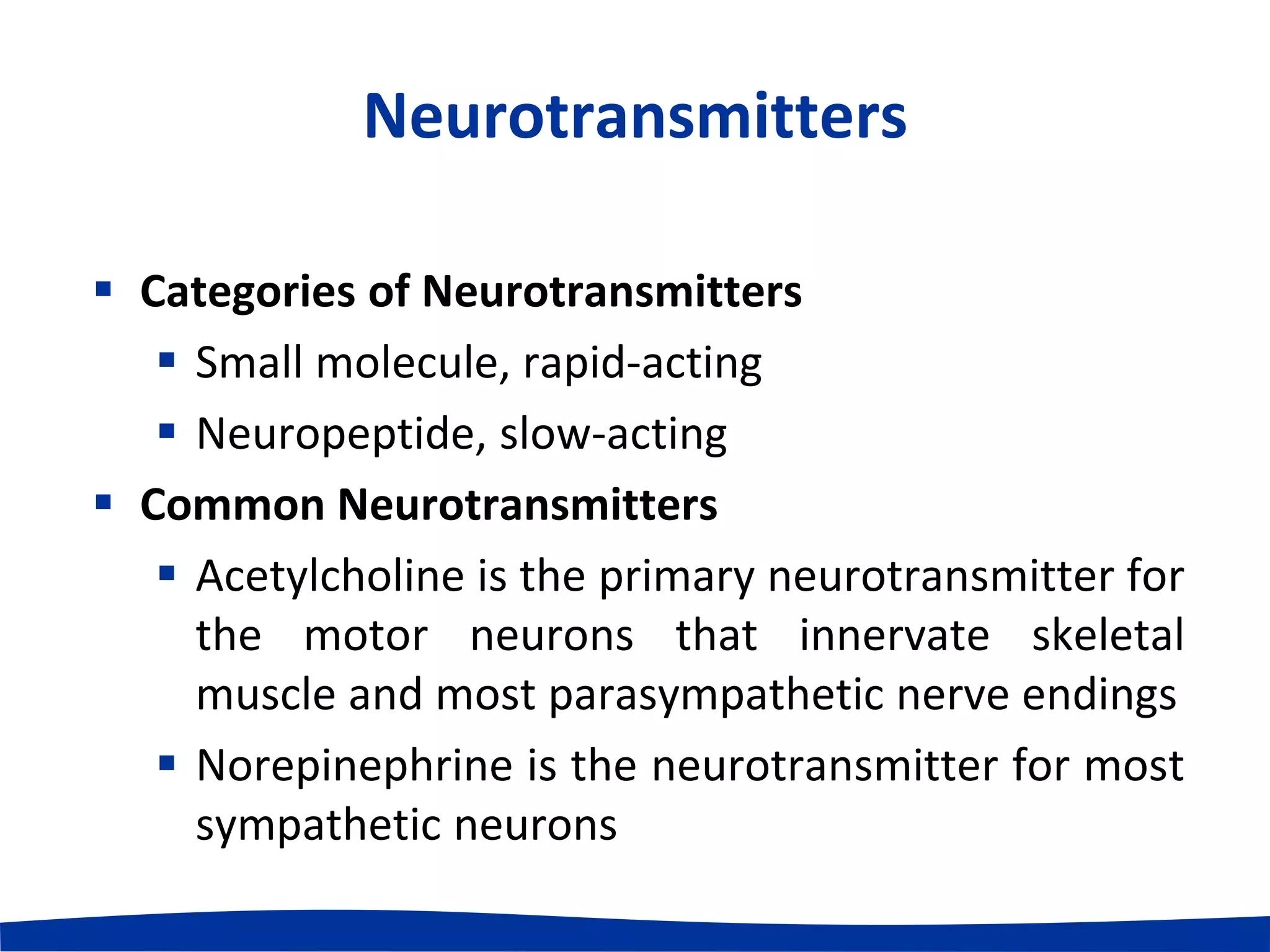 1 neural control of exercising muscle | PPT