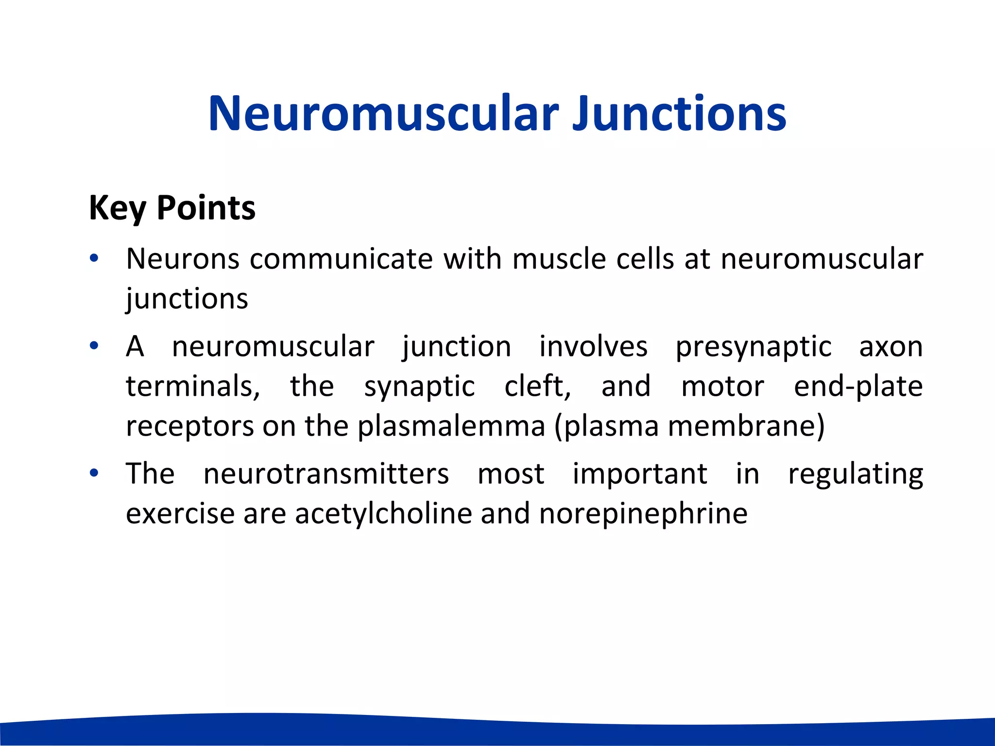 1 neural control of exercising muscle | PPT