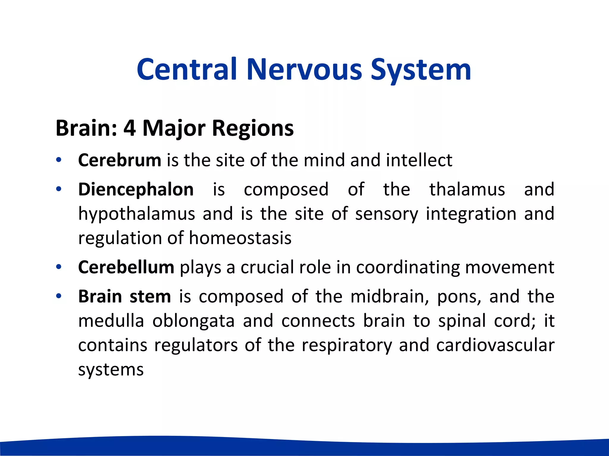 1 neural control of exercising muscle | PPT