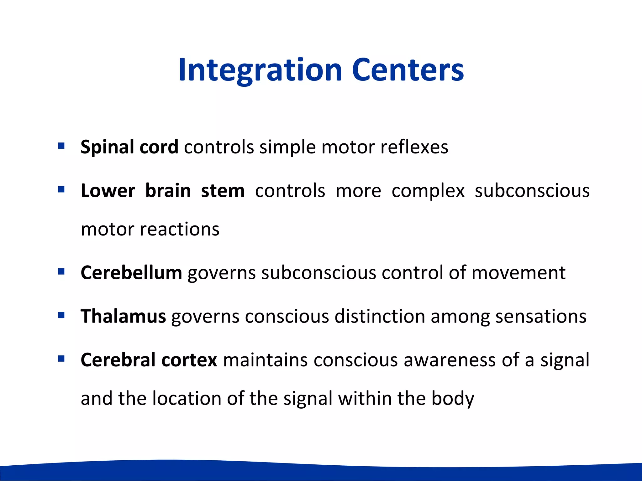 1 neural control of exercising muscle | PPT