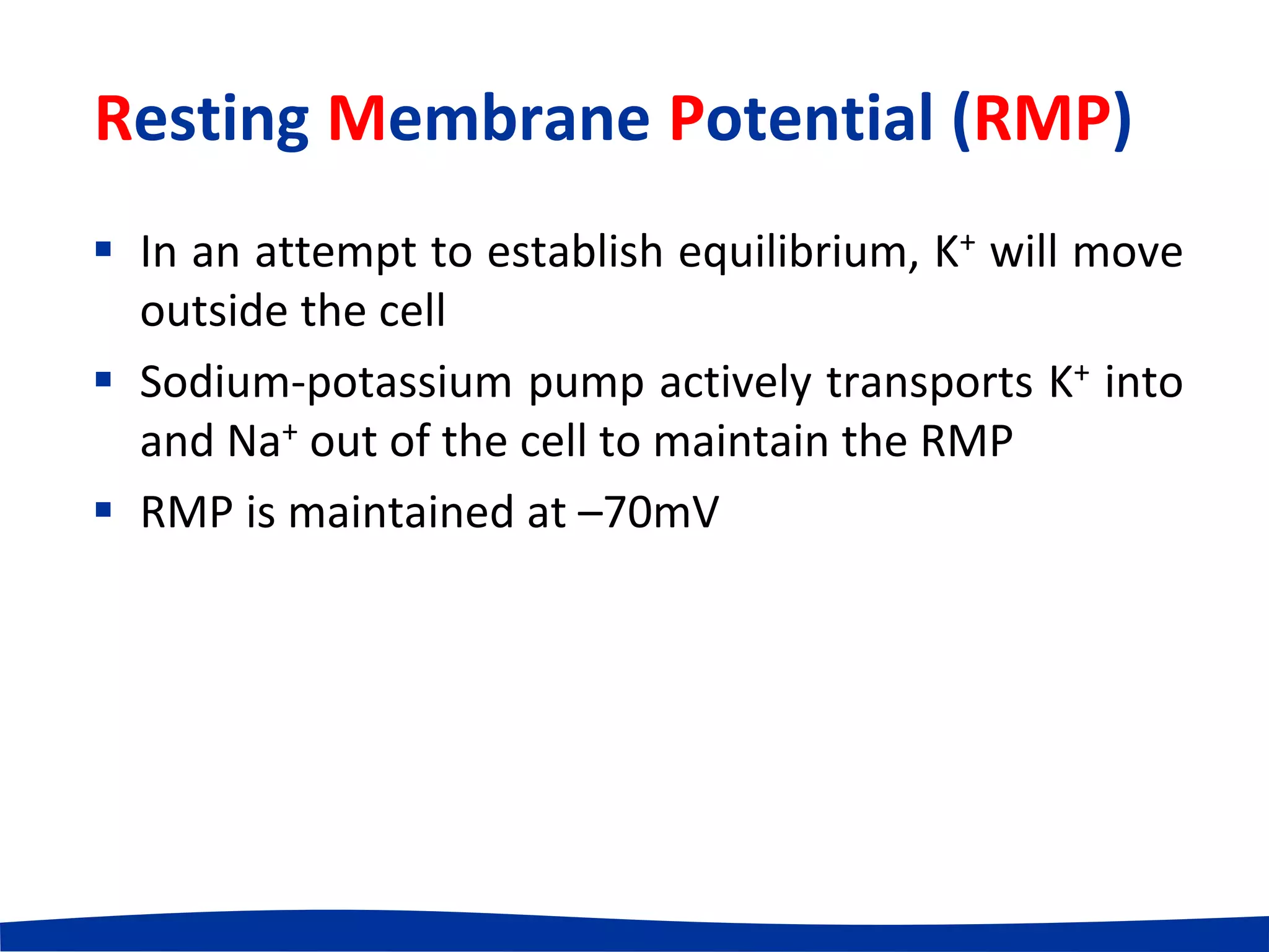 1 neural control of exercising muscle | PPT