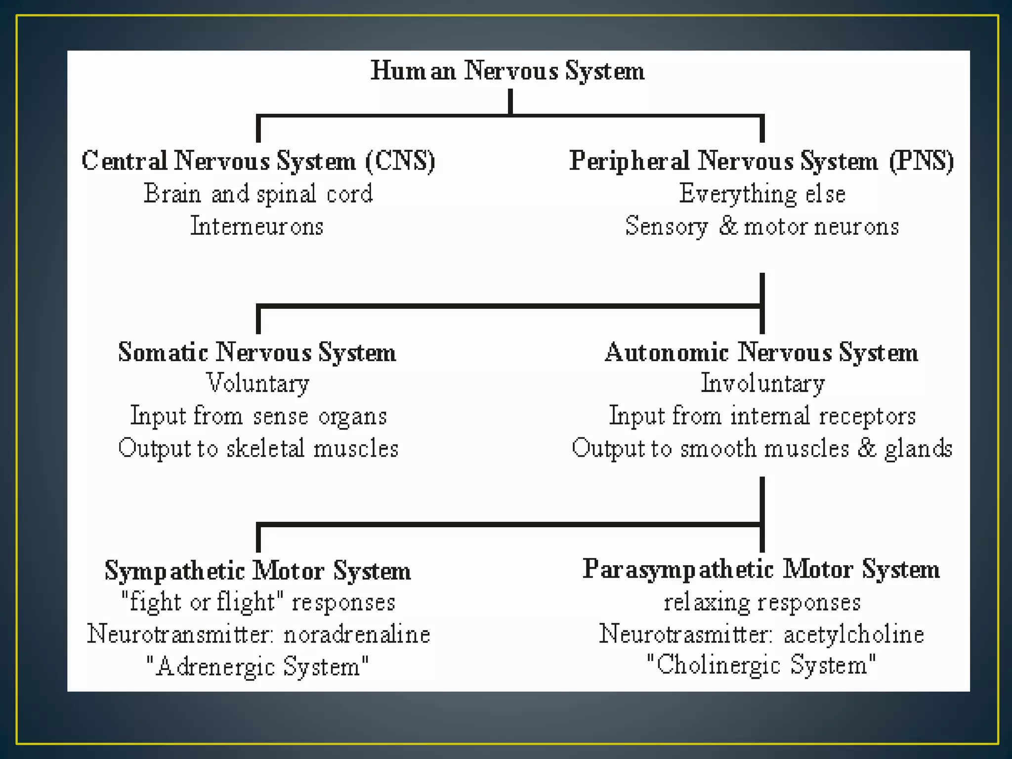 HIGHER MENTAL FUNCTIONS ASSESSMENT | PPTX