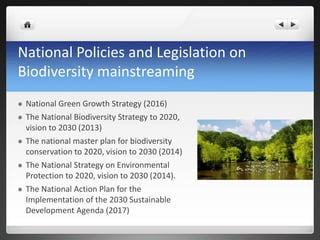 Biodiversity Mainstreaming through National Policies and Legislation | PDF
