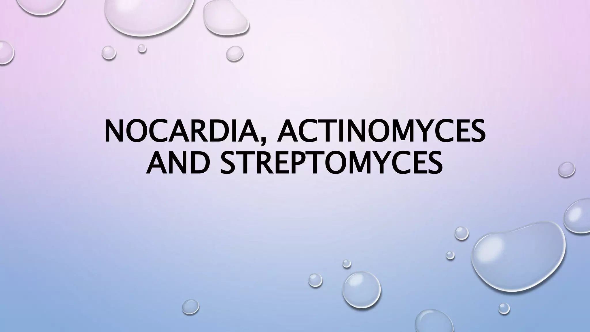 Nocardia, Actinomyces and Streptomyces | PPTX