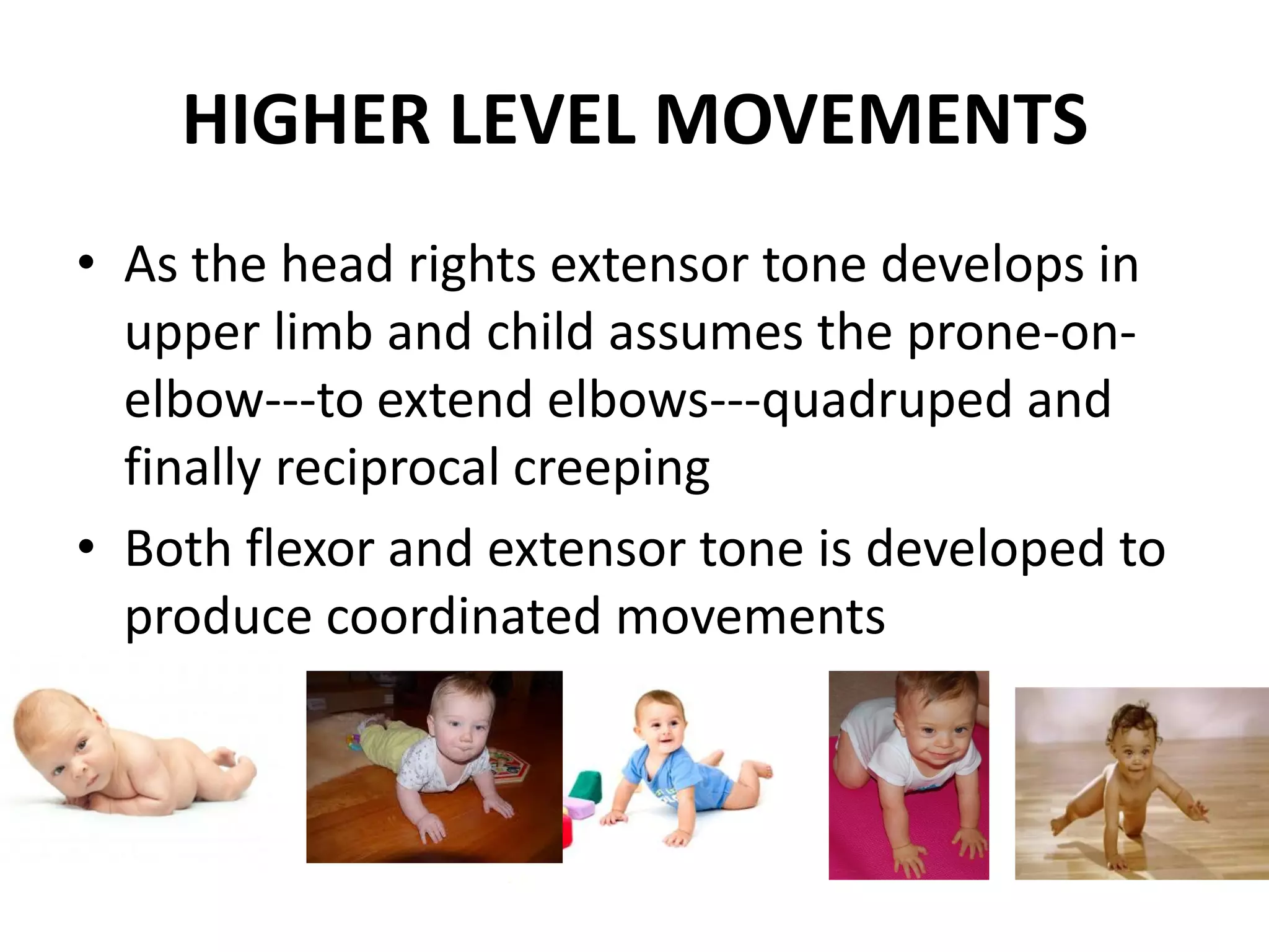 1 Normal development.pdf