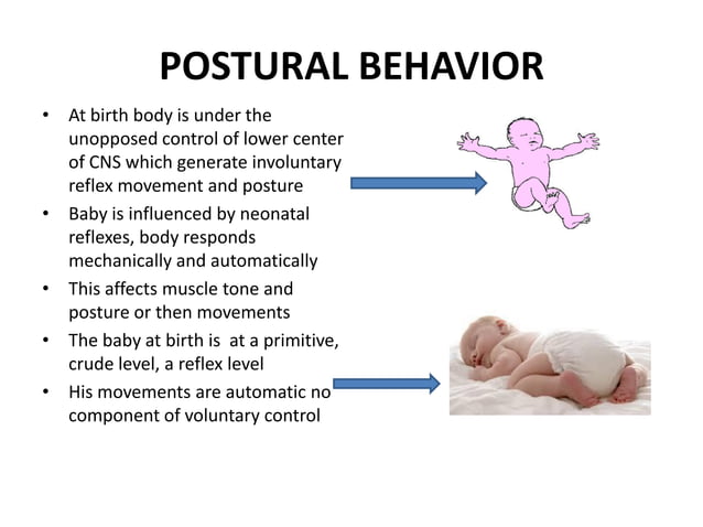 1 Normal development.pdf | Free Download