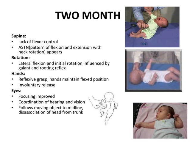 1 Normal development.pdf | Free Download