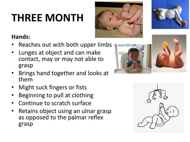 1 Normal development.pdf