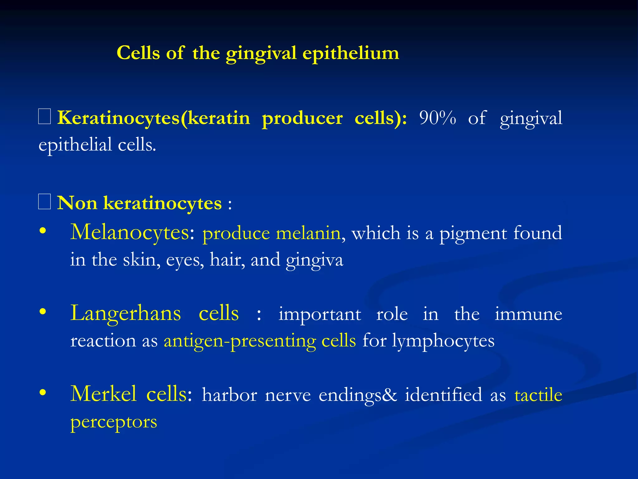 1 normal periodontium.ppt