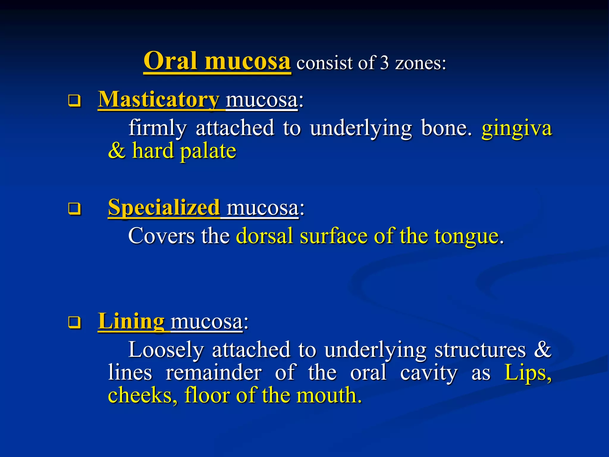 1 normal periodontium.ppt