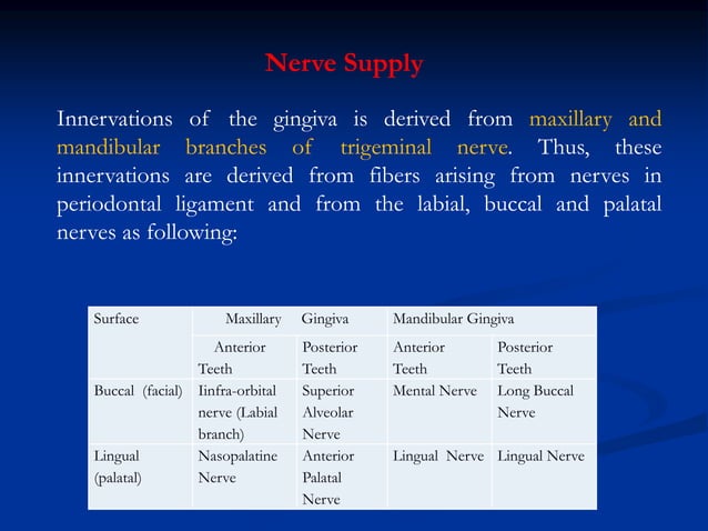 1 normal periodontium.ppt