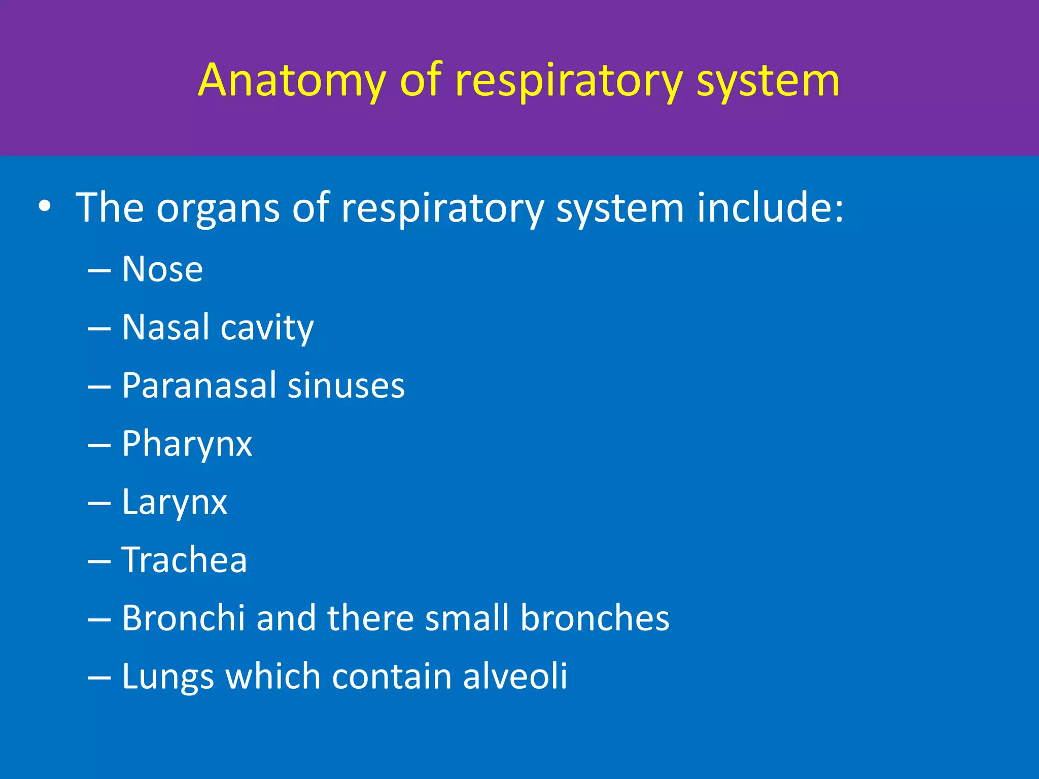 1@nose and nasal cavity | PPT