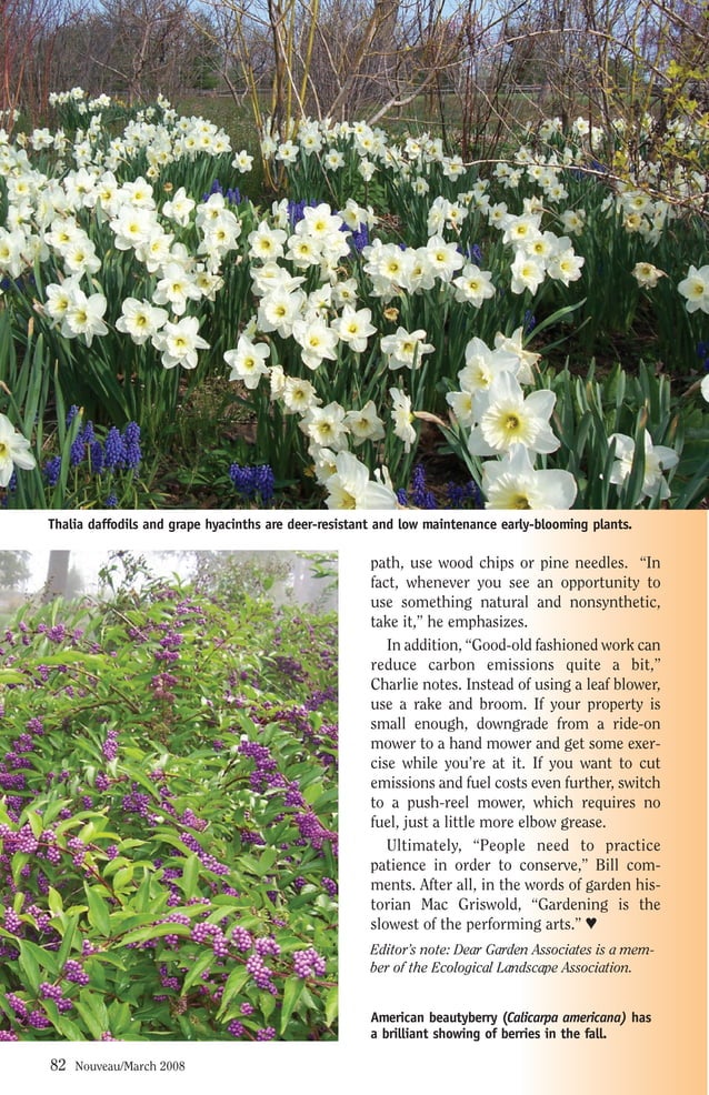 1 Nouveau 308 Dear Garden | PPT