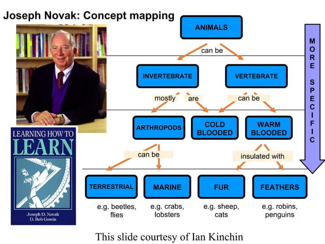 04. Introduction to Novakian mapping (Cmaps) | PPT