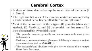 1 NS introduction.pptx physiology of hearing | PPT