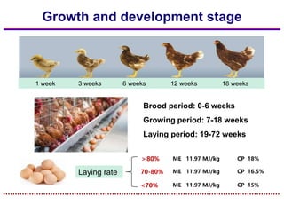 nutrition and metabolism of chicken .ppt