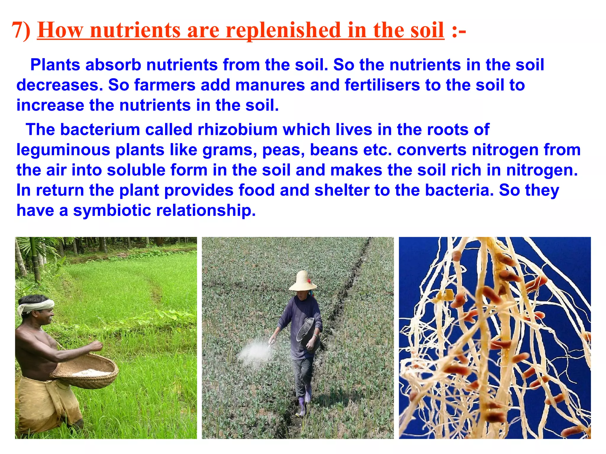 Nutrition in Plants | PPT