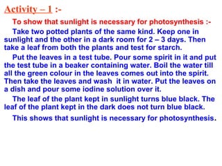 Nutrition in Plants | PPT