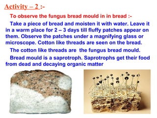 Nutrition in Plants | PPT