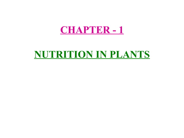Nutrition in Plants | PPT